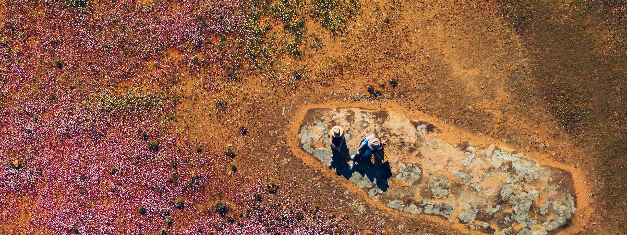 The Wildflower Wanderer - Travel at 60