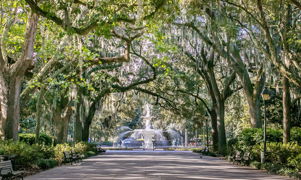 Charms of Southeast USA - Wake Up Here